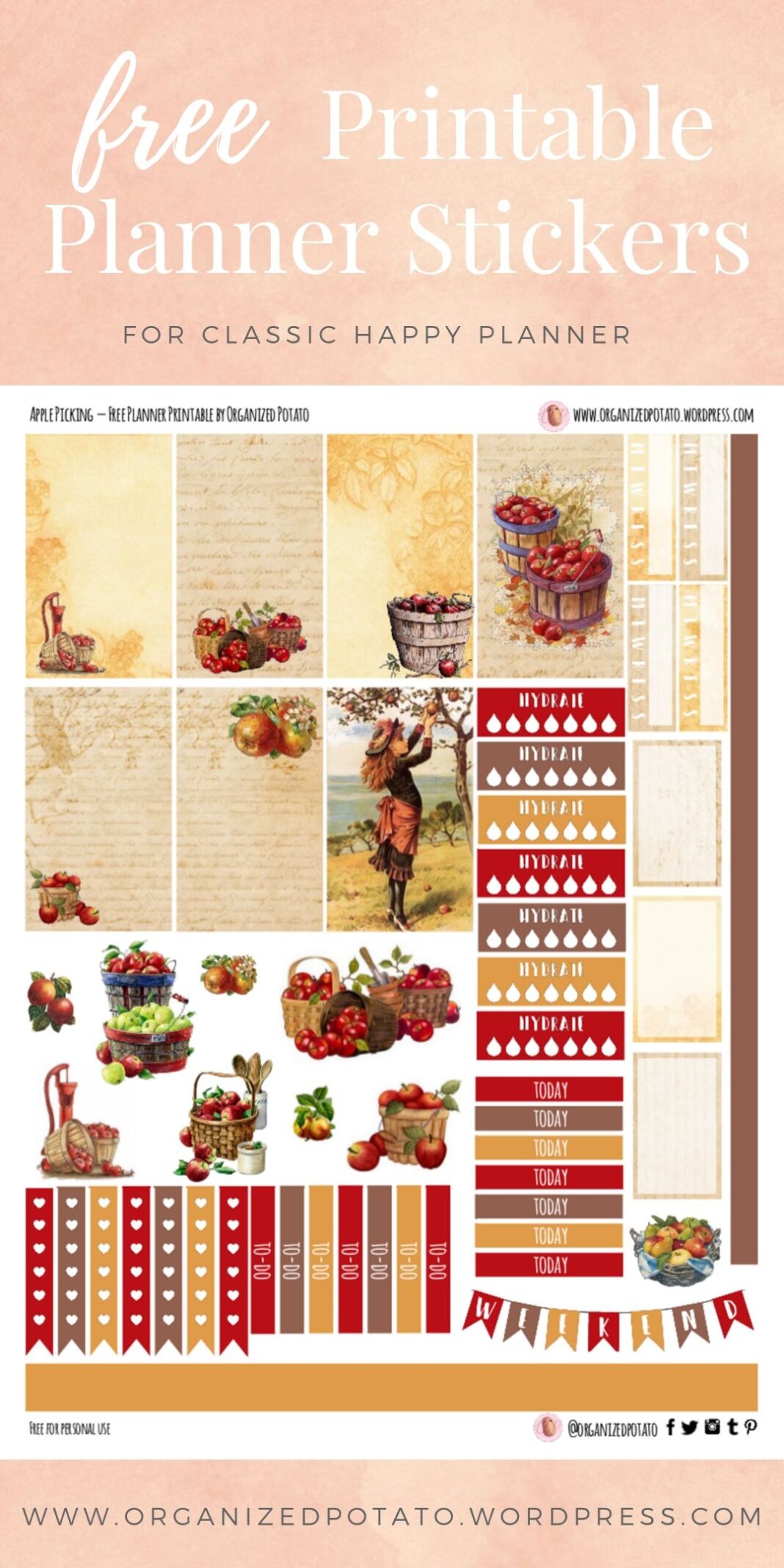 organized-potato-apple_picking_free_printable_planner_stickers_for ...