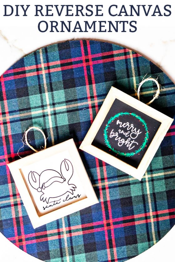 Reverse Canvas Ornament - Easy DIY Christmas Ornament - a Fun ...