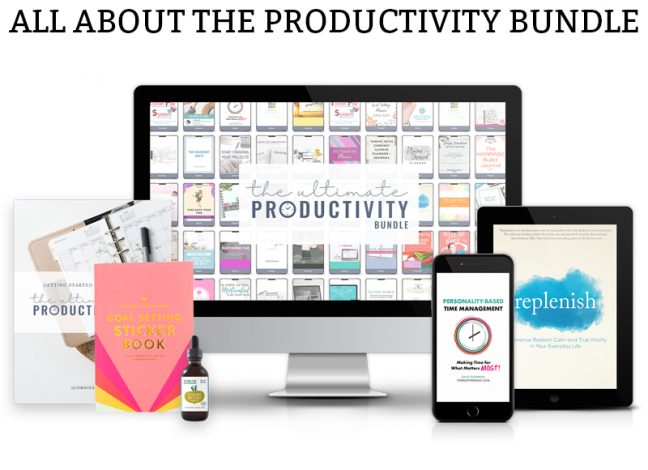 Sarcastic Productivity Planner Stickers - Funny To Do Planner Stickers