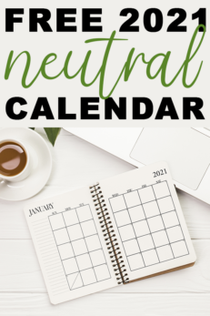 2021 Free Printable Calendar - Neutral 2021 Calendar