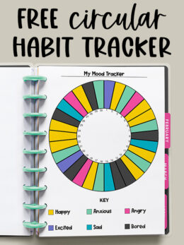 Circle-Habit-Tracker-Example-7 - Mom Envy