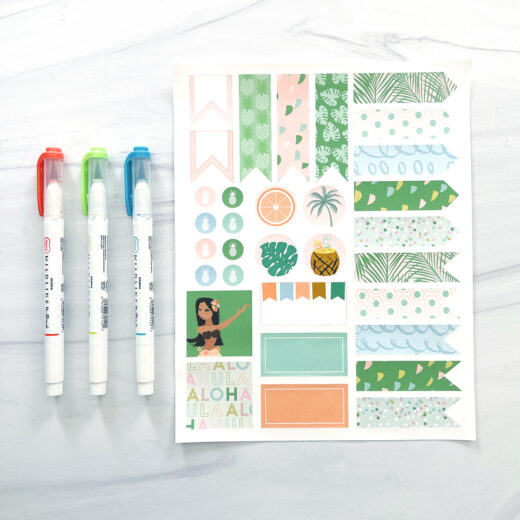 35+ Summer Planner Stickers and Inserts Round Up
