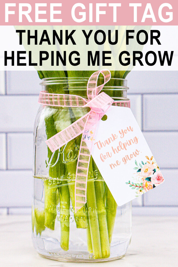 Free Thank You for Helping Me Grow Printable Gift Tags