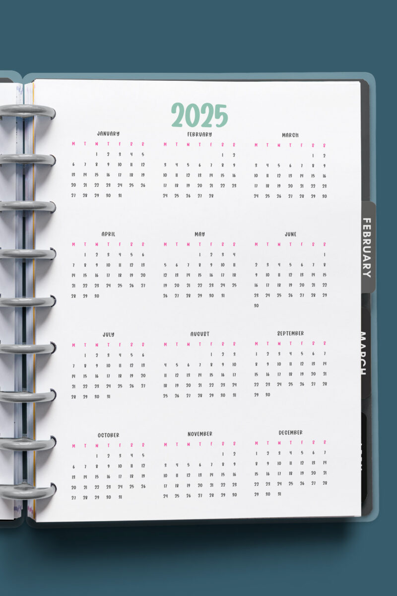 2025-at-a-Glance-in-Planner-2C - Mom Envy