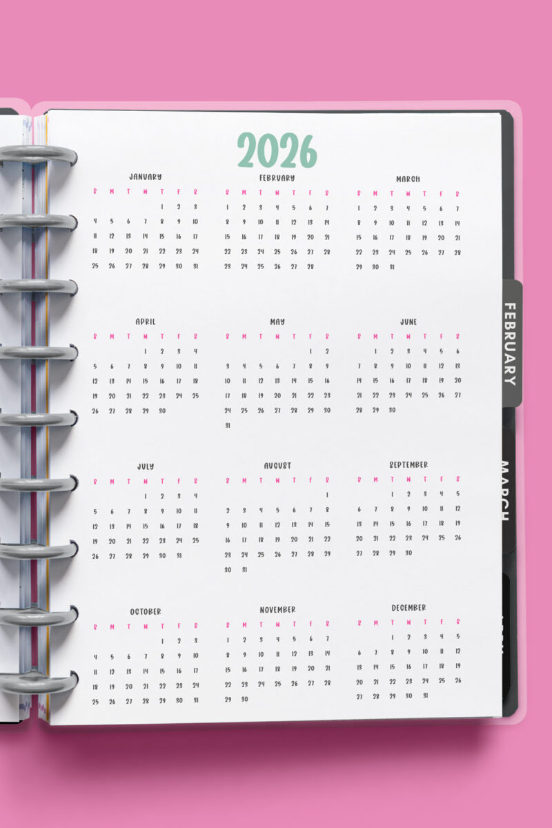 2026-at-a-Glance-in-Planner-3 - Mom Envy