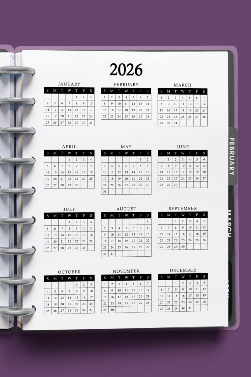 2026-at-a-Glance-in-Planner - Mom Envy