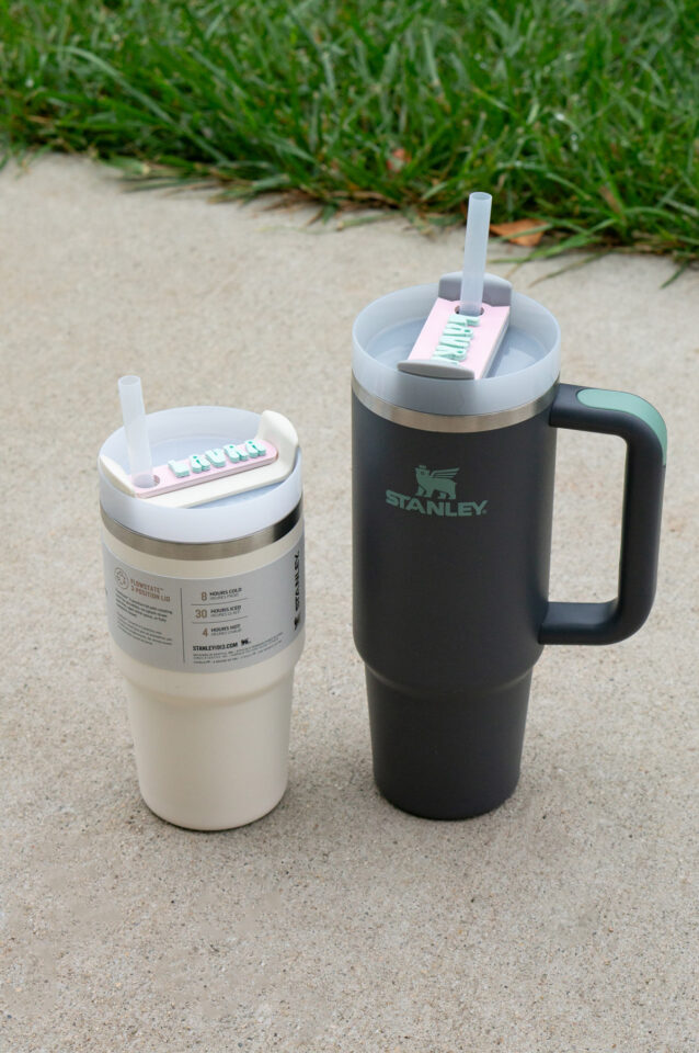 stanley-topper-SVG-1-31 - Mom Envy