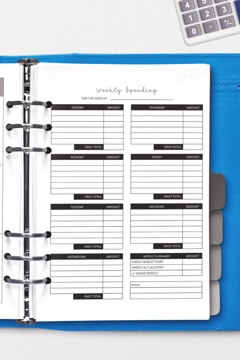 Weekly-Expense-Tracker-Printable-Example-Planner-1 - Mom Envy