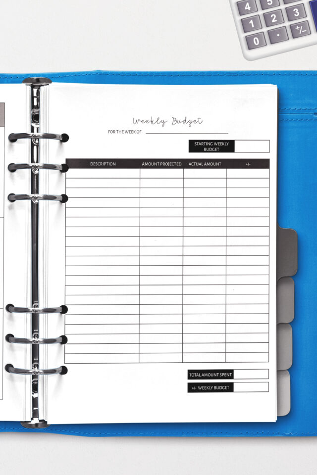 Weekly-Expense-Tracker-Printable-Example-Planner-5 - Mom Envy