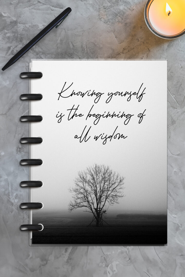 100 Self Reflection Journal Prompts: Free Files Included