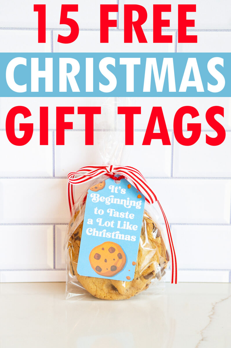 free_printable_christmas_treat_gift_tags_-8 - Mom Envy