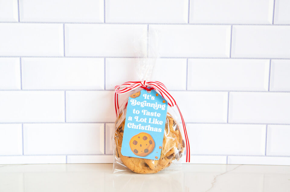 free_printable_christmas_treat_gift_tags_-9 - Mom Envy