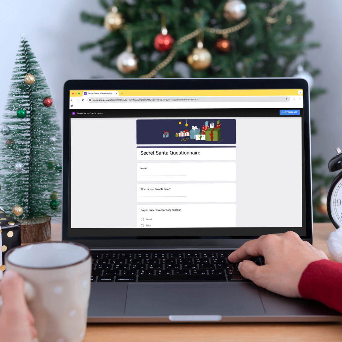 Free Secret Santa Printable & Digital Questionnaire Form