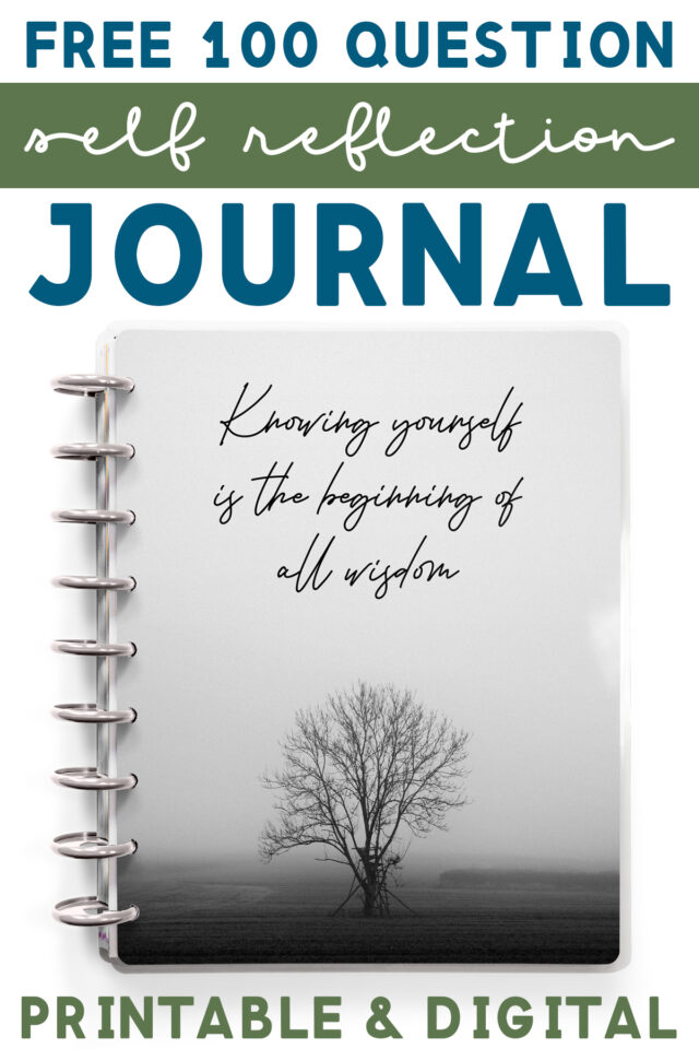 100 Self Reflection Journal Prompts: Free Files Included