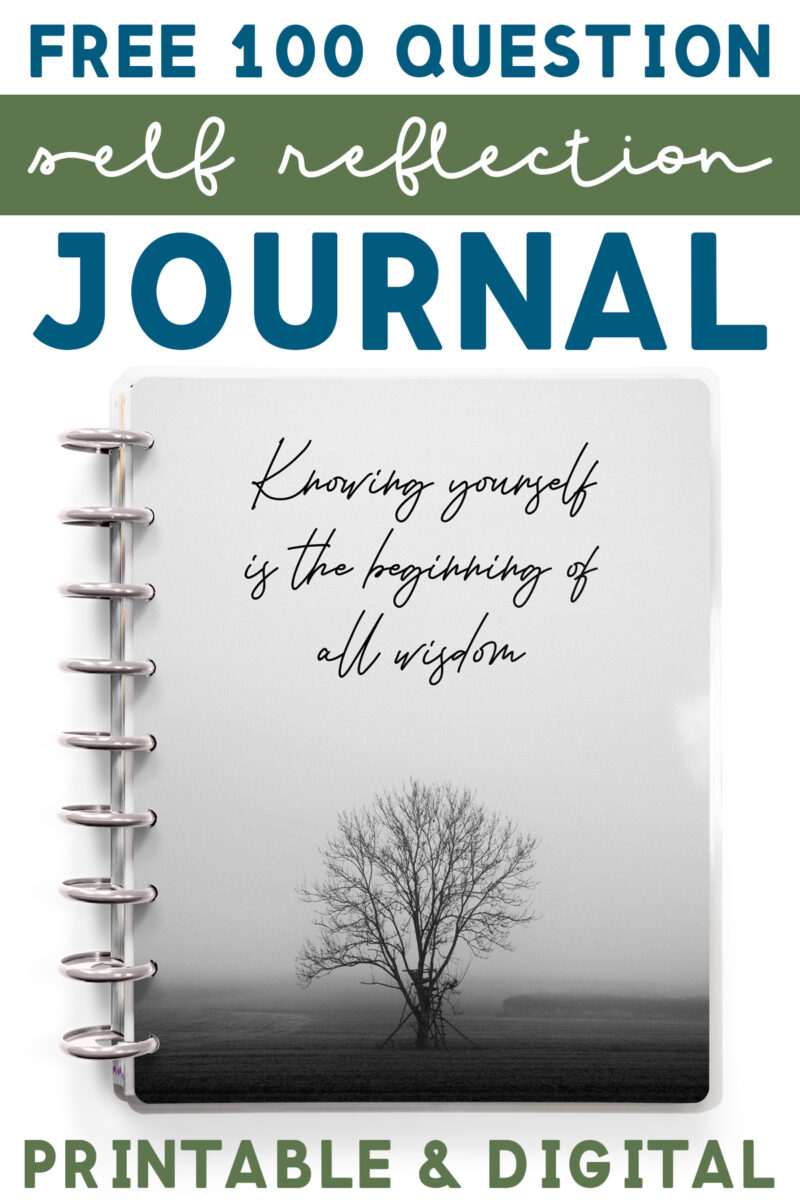 100 Self Reflection Journal Prompts: Free Files Included